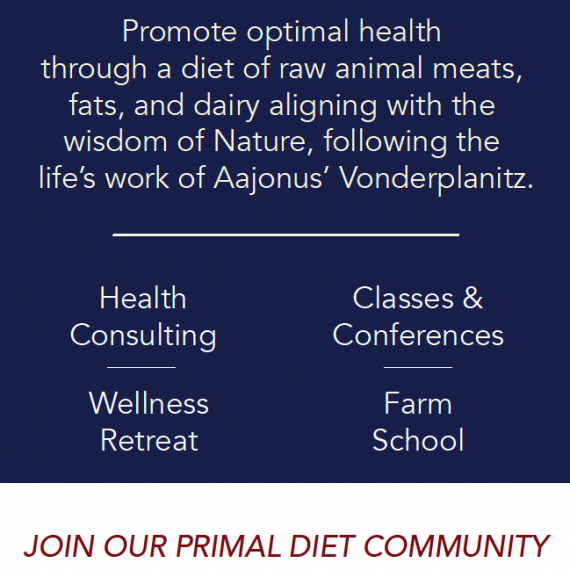 What Is The Primal Diet? - Blossom & Be Wellness